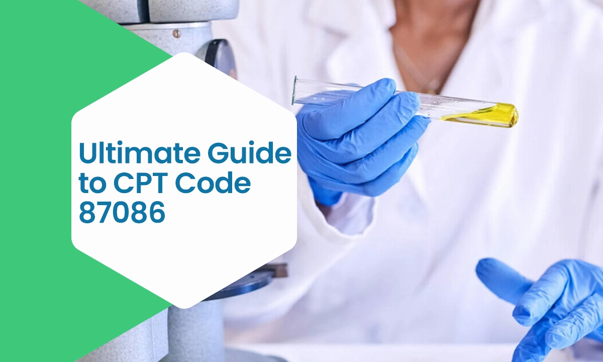 CPT Code 87086 Description, Examples & Reimbursement Guide
